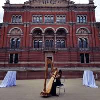 Arianna (Harpist): Award winning international harpist!