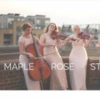 Platinum Strings: Duo, Trio or Quartet for Hire