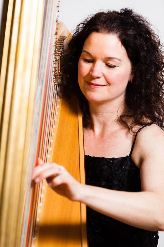 Michelle (Harpist): Michelle is a popular harpist for corporate events ...