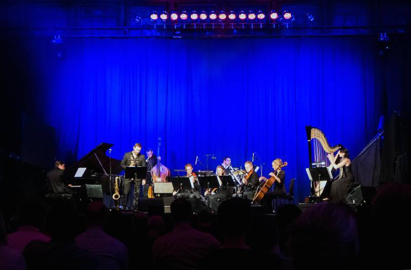 Alina - Harpist for Hire at Weddings & Events