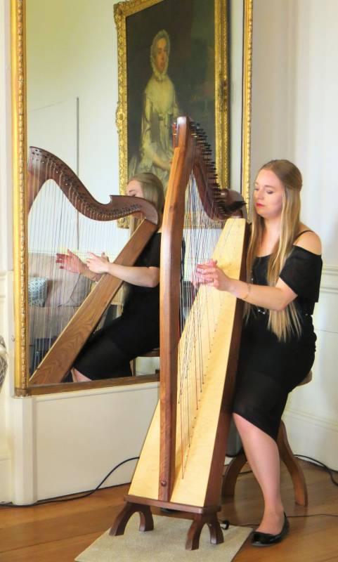 Christine (Harpist) | Last Minute Musicians