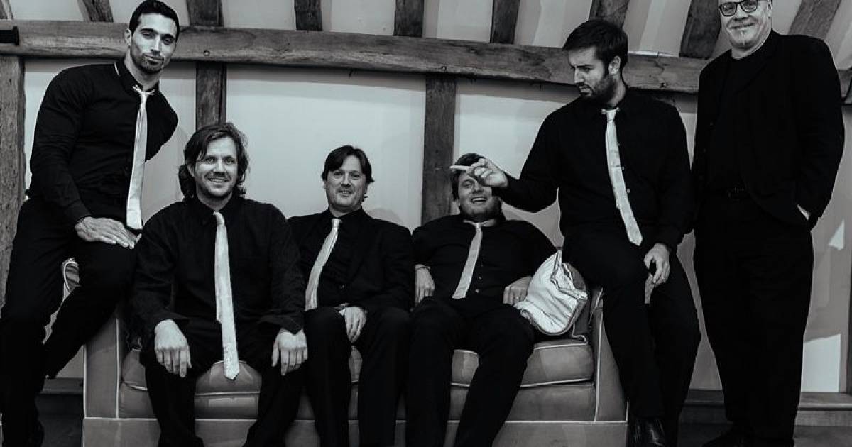 The Shakes Band: young, fun and professional wedding and party band