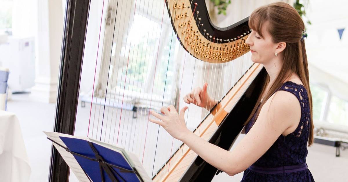 Heather (Harpist): Experienced, flexible harpist with versatile repertoire.
