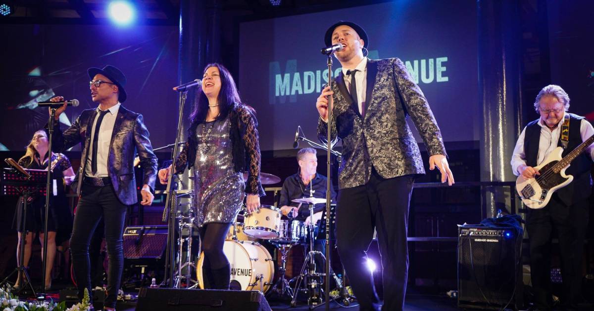 Madison Avenue UK | Last Minute Musicians